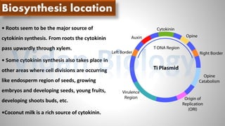 Cytokinin plant hormones complete | PDF