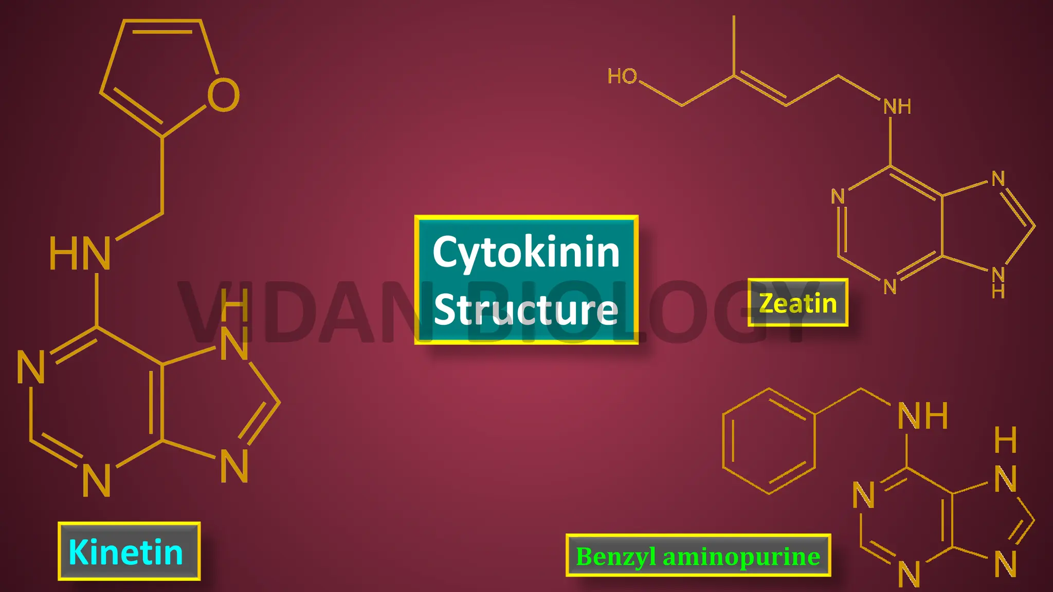 Cytokinin Plant Hormones | PDF