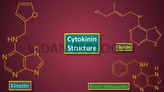 Cytokinin Plant Hormones | PDF | Biological Sciences | Science