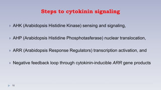 Cytokinis biosynthesis and transduction | PPTX