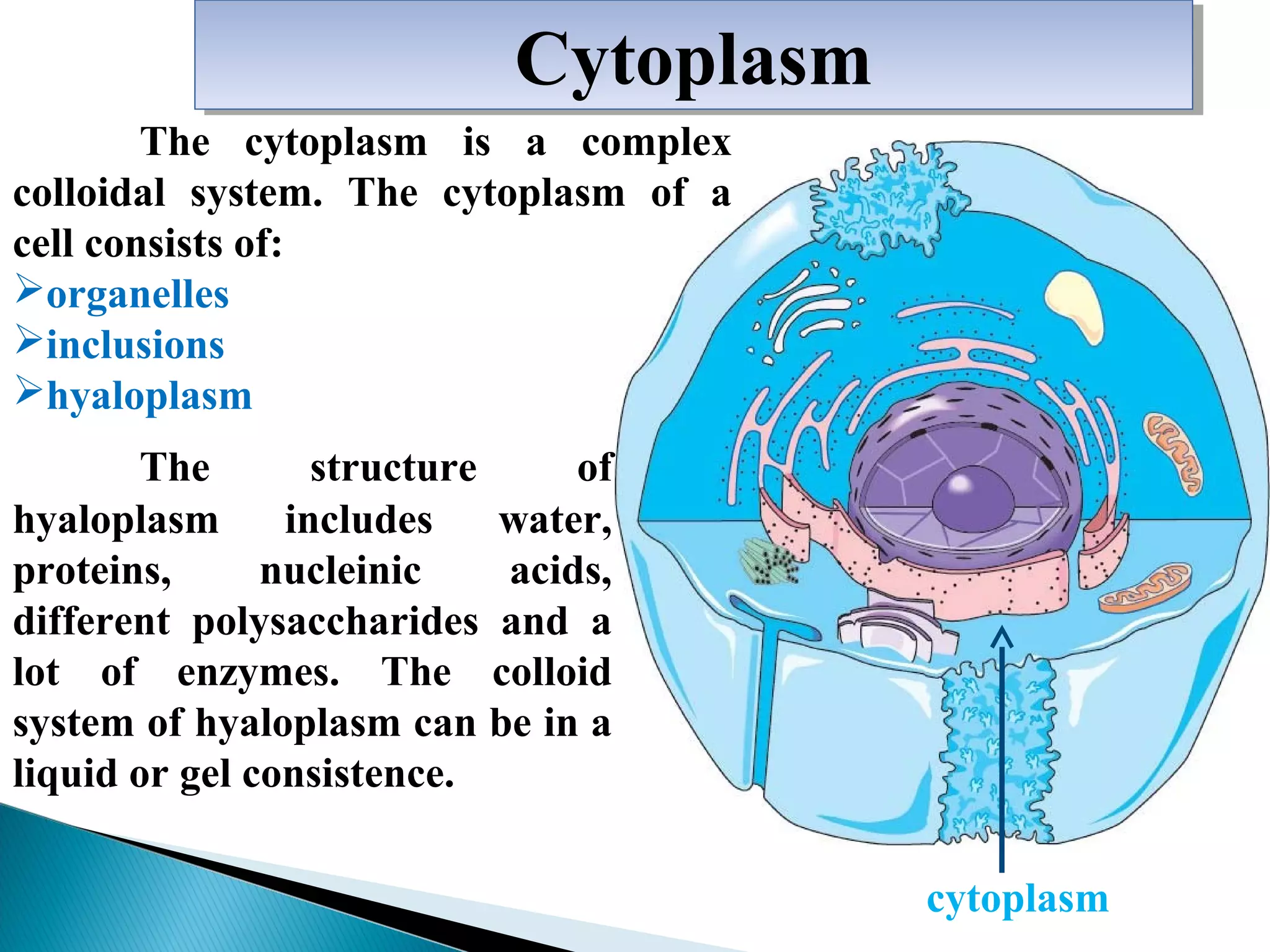Basic cytology | PPT