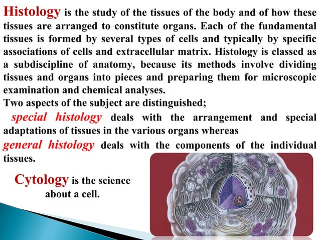 Basic cytology | PPT | Biological Sciences | Science