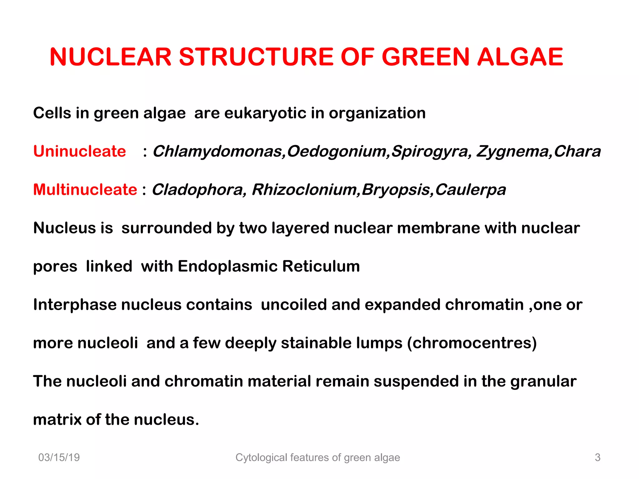 Cytological features of green algae | PPT