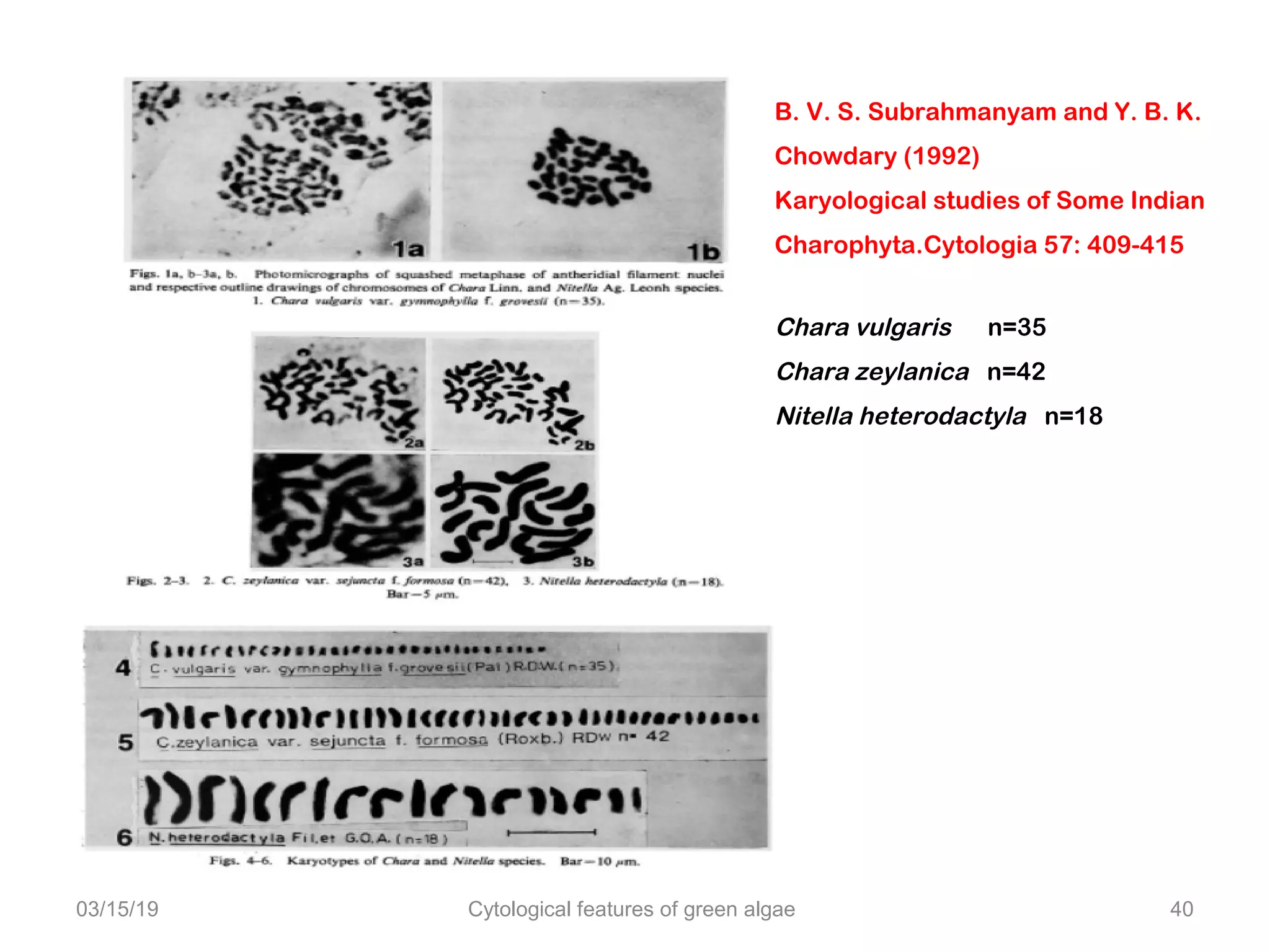 Cytological features of green algae | PPT