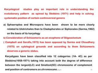 Cytological features of green algae | PPT