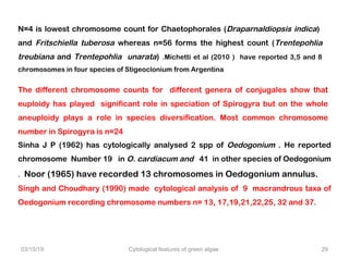 Cytological features of green algae | PPT