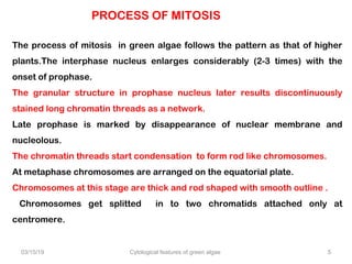 Cytological features of green algae | PPT