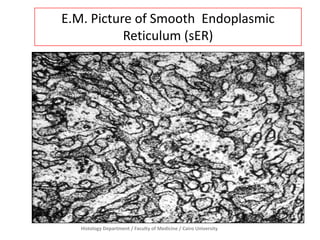 Cytology - Prac. Histology | PPTX | Biological Sciences | Science