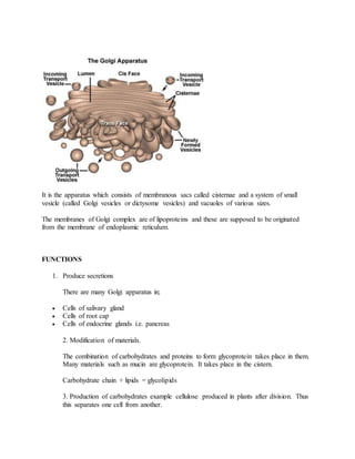 Cytology | DOCX