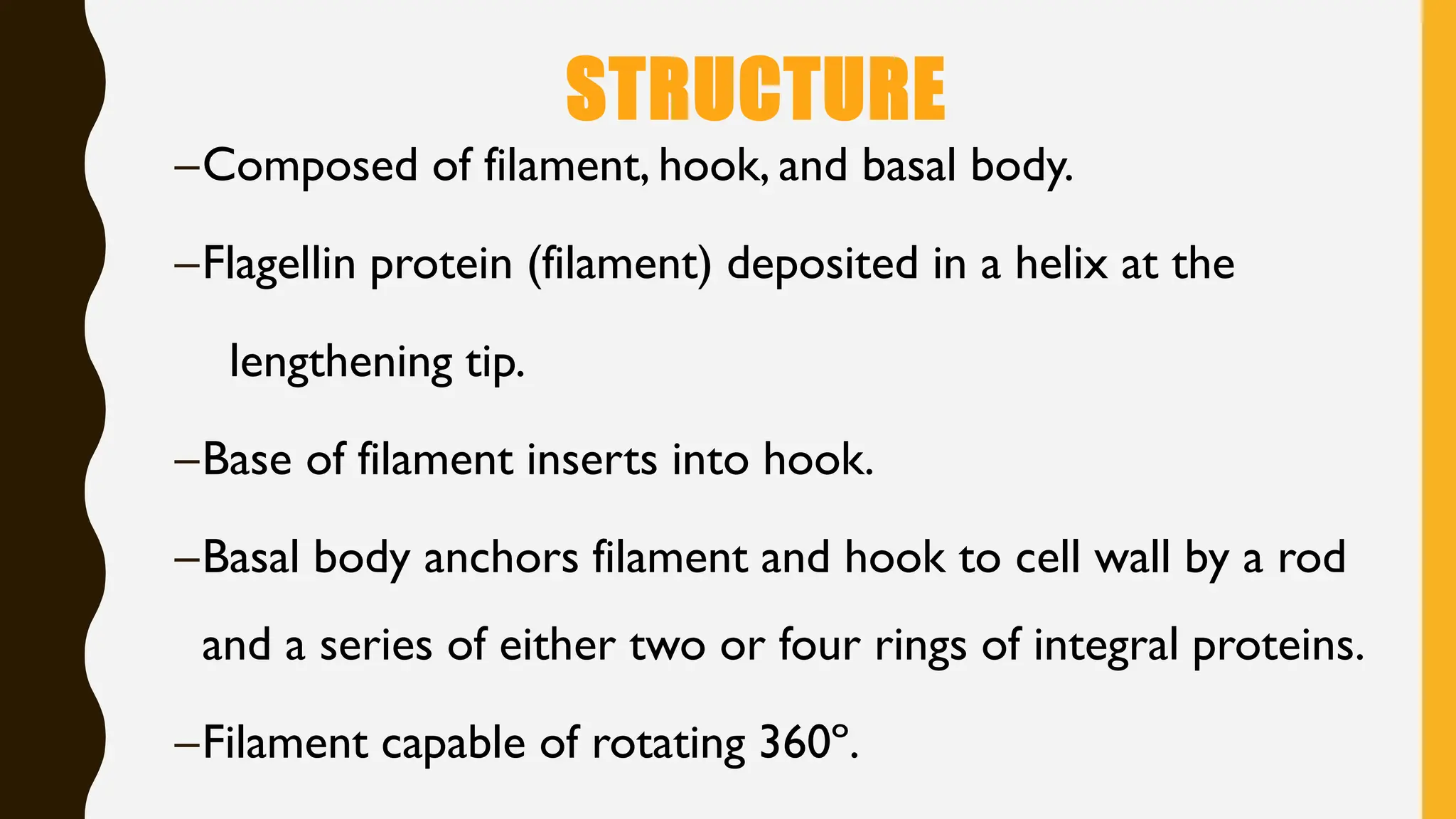 cytology, cell biology, chromosomes 22-12-2024.pdf