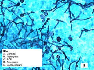 cytology-cases-september-1.ppt