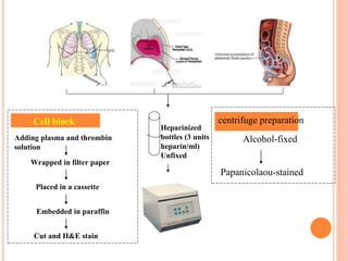 diagnostic Cytology introduction , Body fluids cytology | PPTX