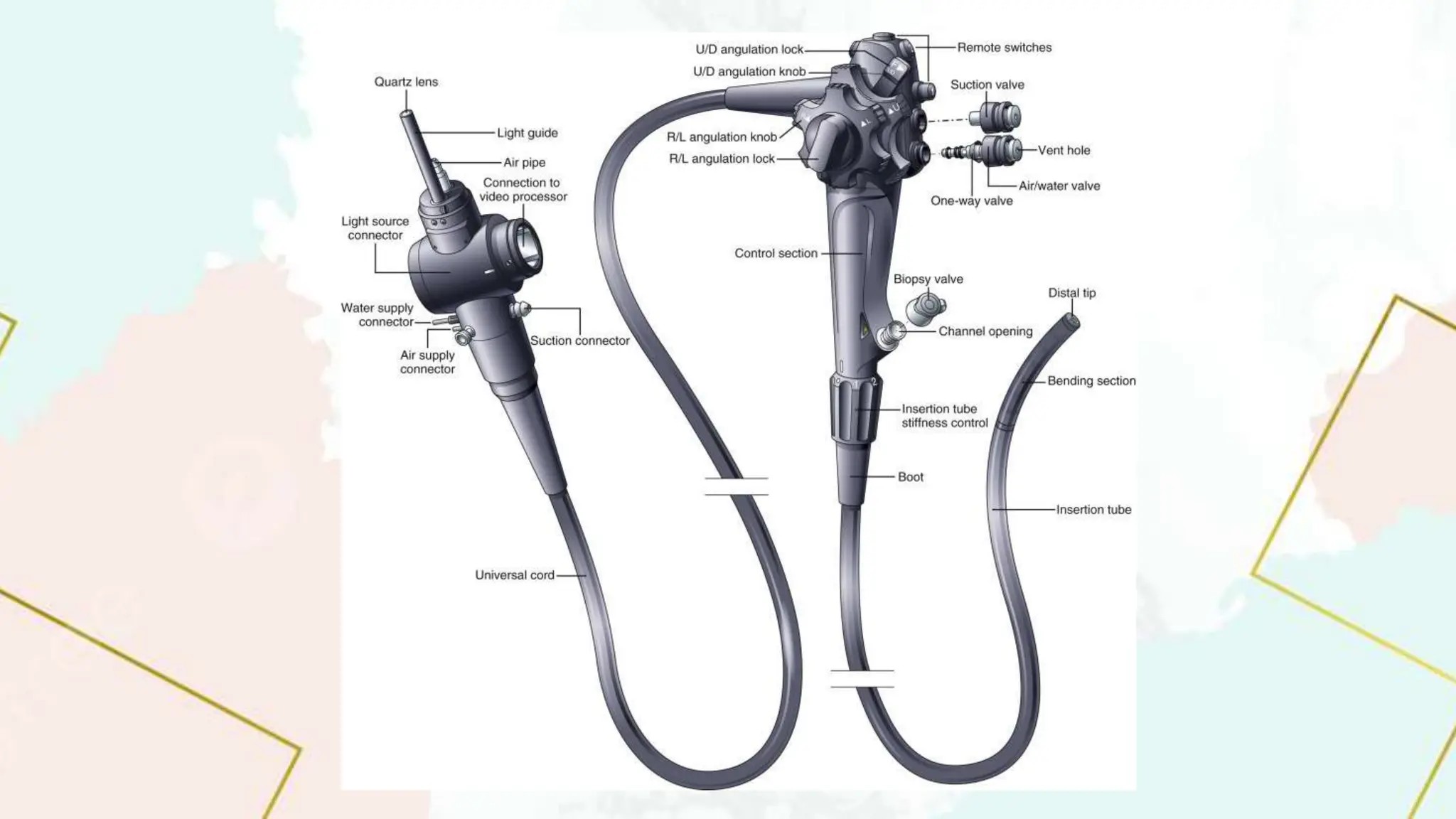 CYTOLOGY-SAMPLE COLLECTION, Introduction to cytology | PPTX
