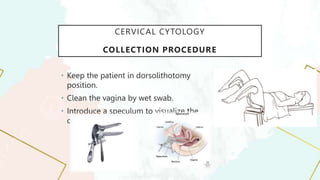 CYTOLOGY-SAMPLE COLLECTION, Introduction to cytology | PPTX