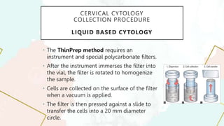 CYTOLOGY-SAMPLE COLLECTION, Introduction to cytology | PPTX