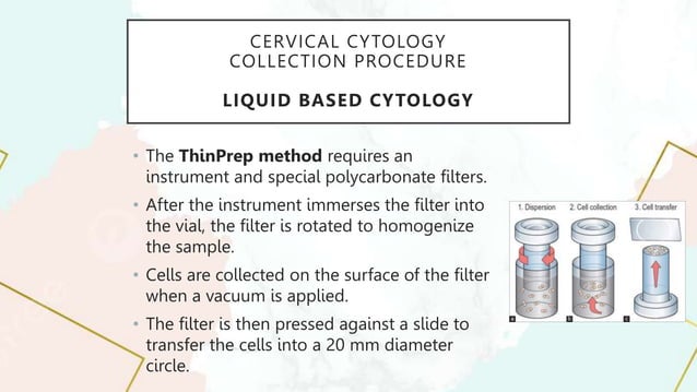 CYTOLOGY-SAMPLE COLLECTION, Introduction to cytology | PPTX | Lung and ...