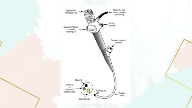 CYTOLOGY-SAMPLE COLLECTION, Introduction to cytology | PPTX | Lung and ...