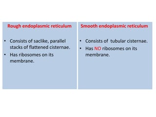 Cytology1 prelab | PPTX