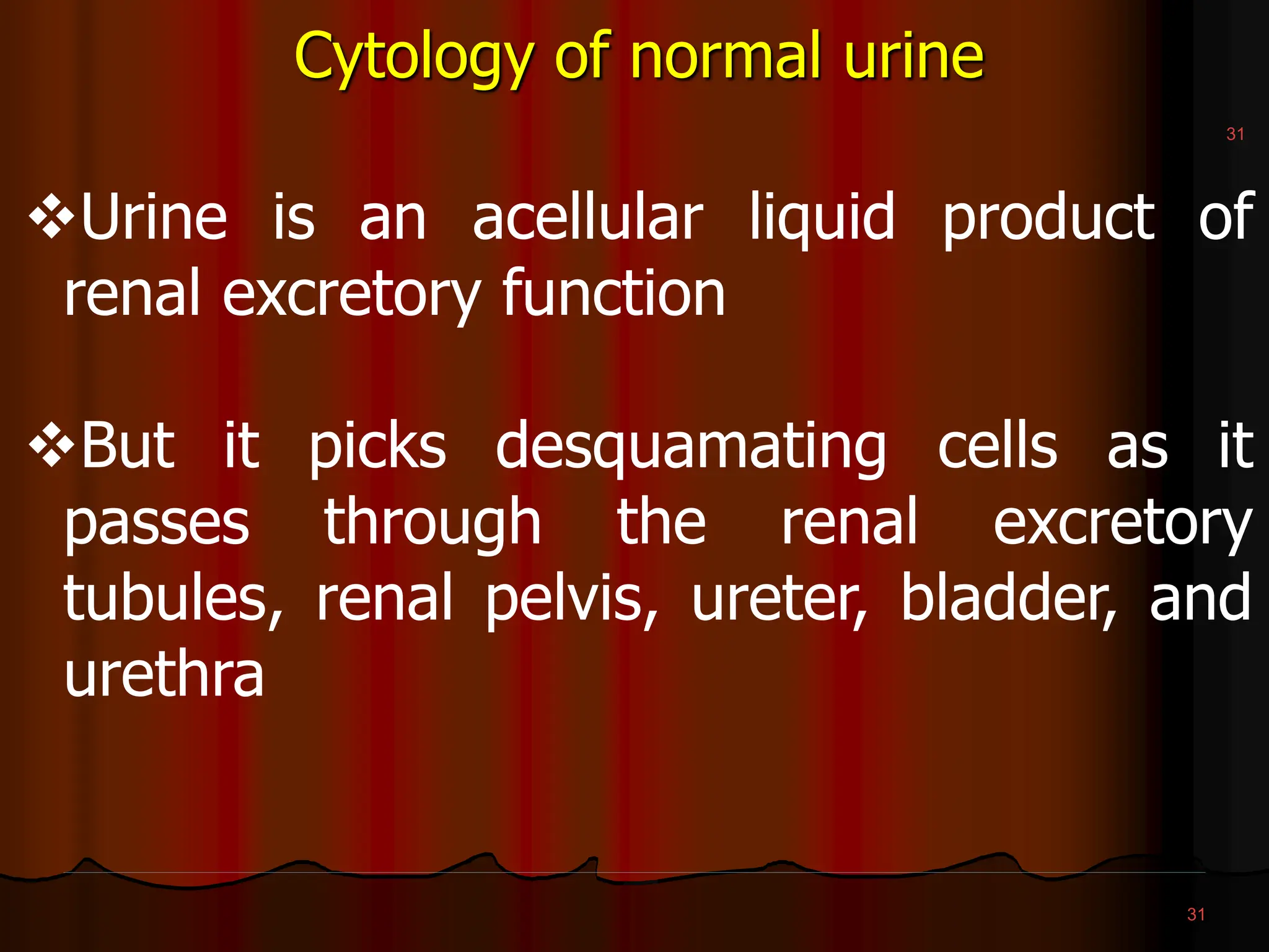 Renal cytology. Cell Morphology and identification | PPT