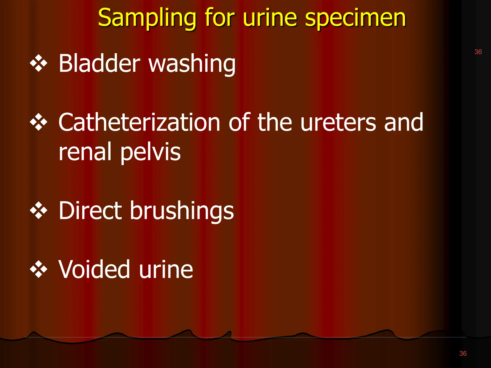 Renal cytology. Cell Morphology and identification | PPT