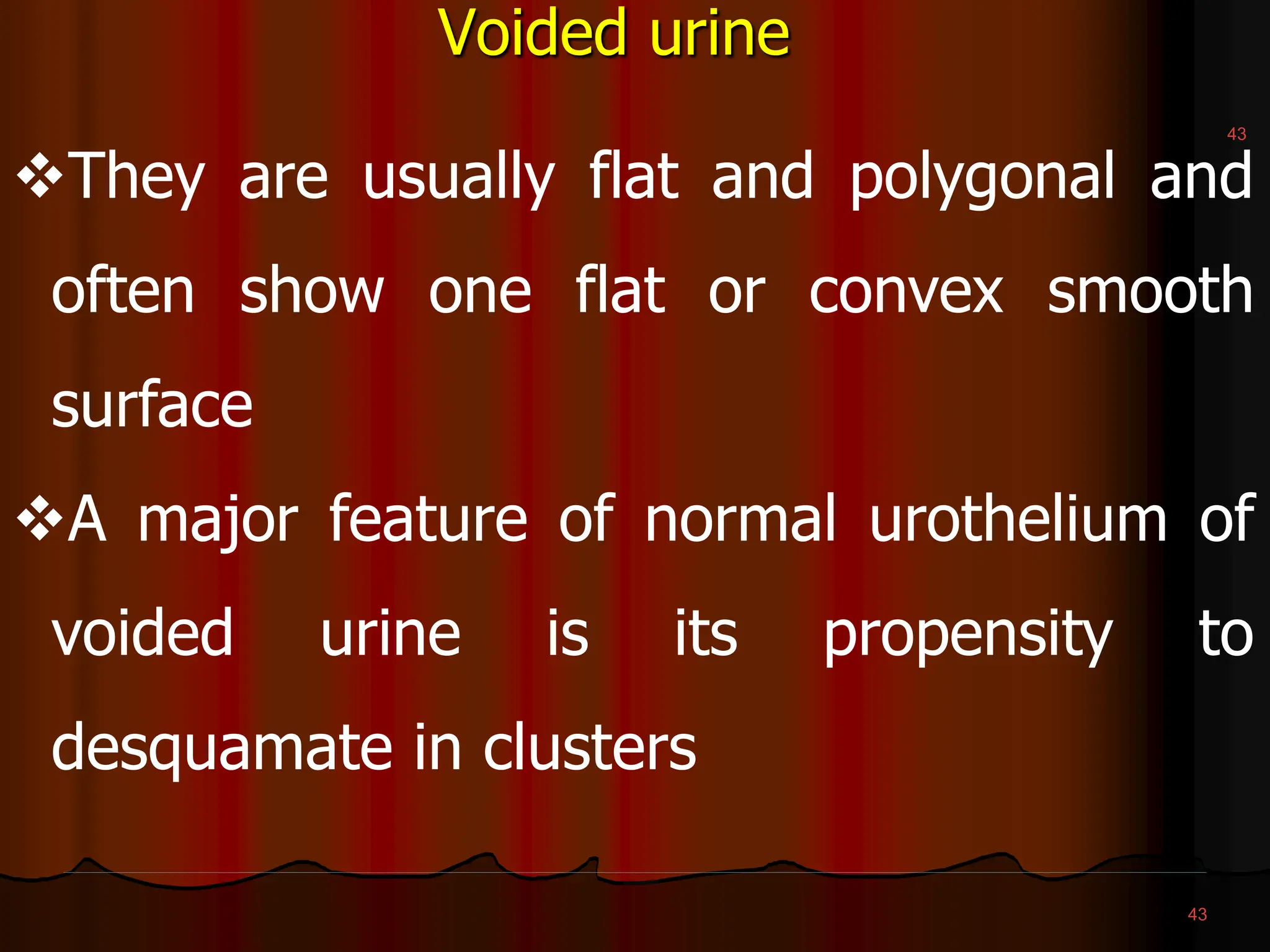 Renal cytology. Cell Morphology and identification | PPT