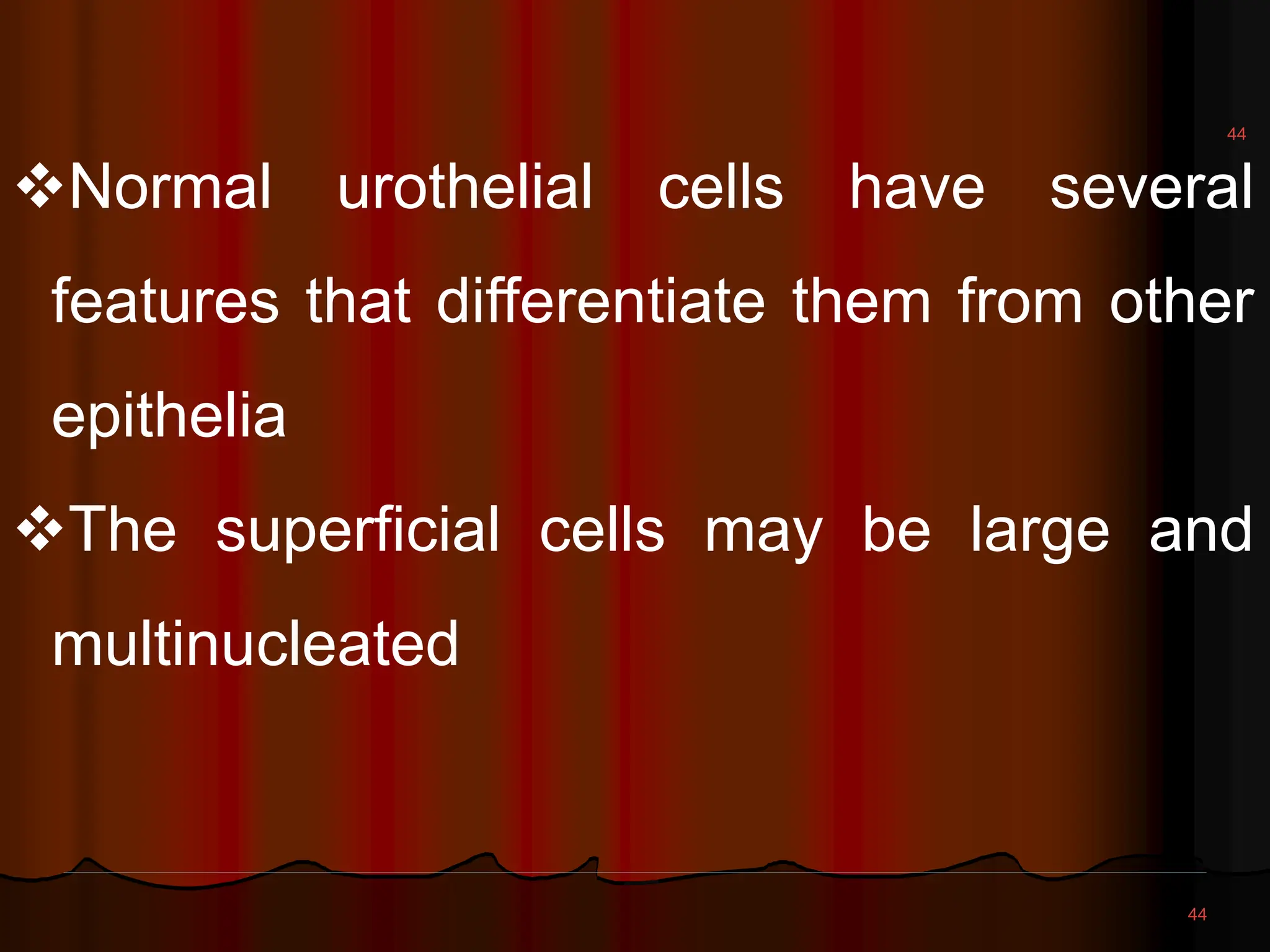Renal cytology. Cell Morphology and identification | PPT