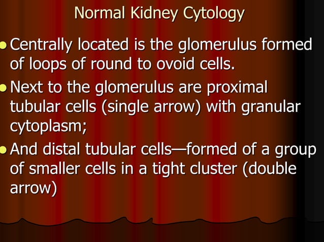 Renal cytology. Cell Morphology and identification | PPT