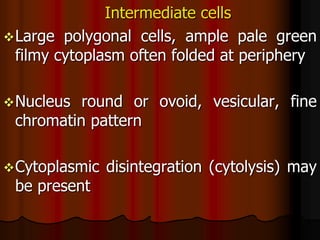 Renal cytology. Cell Morphology and identification | PPT