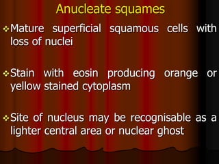 Renal cytology. Cell Morphology and identification | PPT