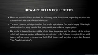 CYTOLOGY AND HISTOLOGY Pratik Shinde.pptx