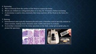 CYTOLOGY AND HISTOLOGY Smital Garud 227309.pptx