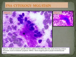 Cytology case 3 -dr .pramod kumar cmf | PPT
