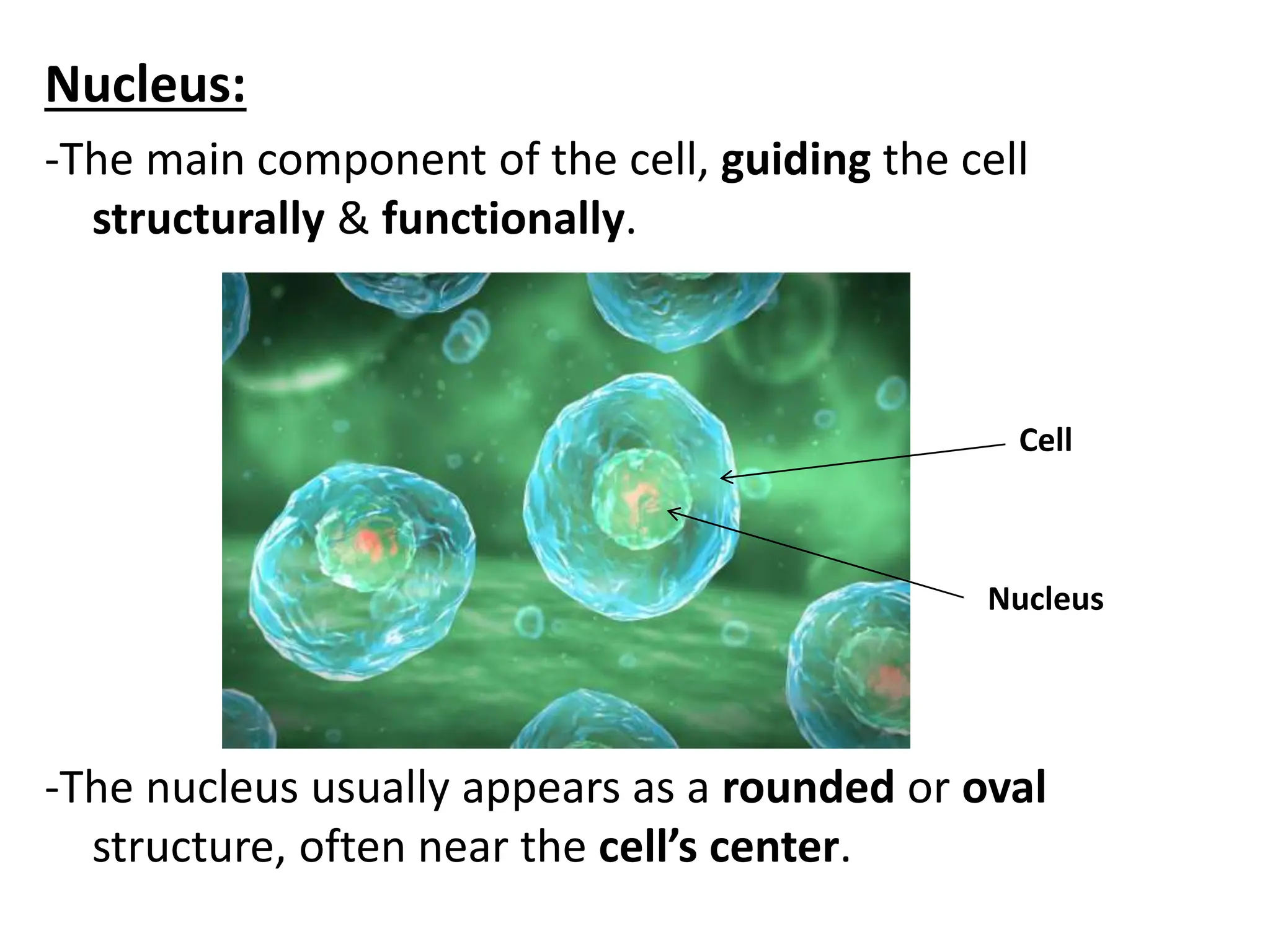 Cytology I nucleus_cell membrane.pptx
