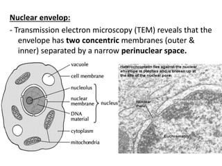 Cytology I nucleus_cell membrane.pptx