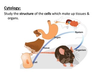Cytology I nucleus_cell membrane.pptx