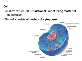 Cytology I nucleus_cell membrane.pptx