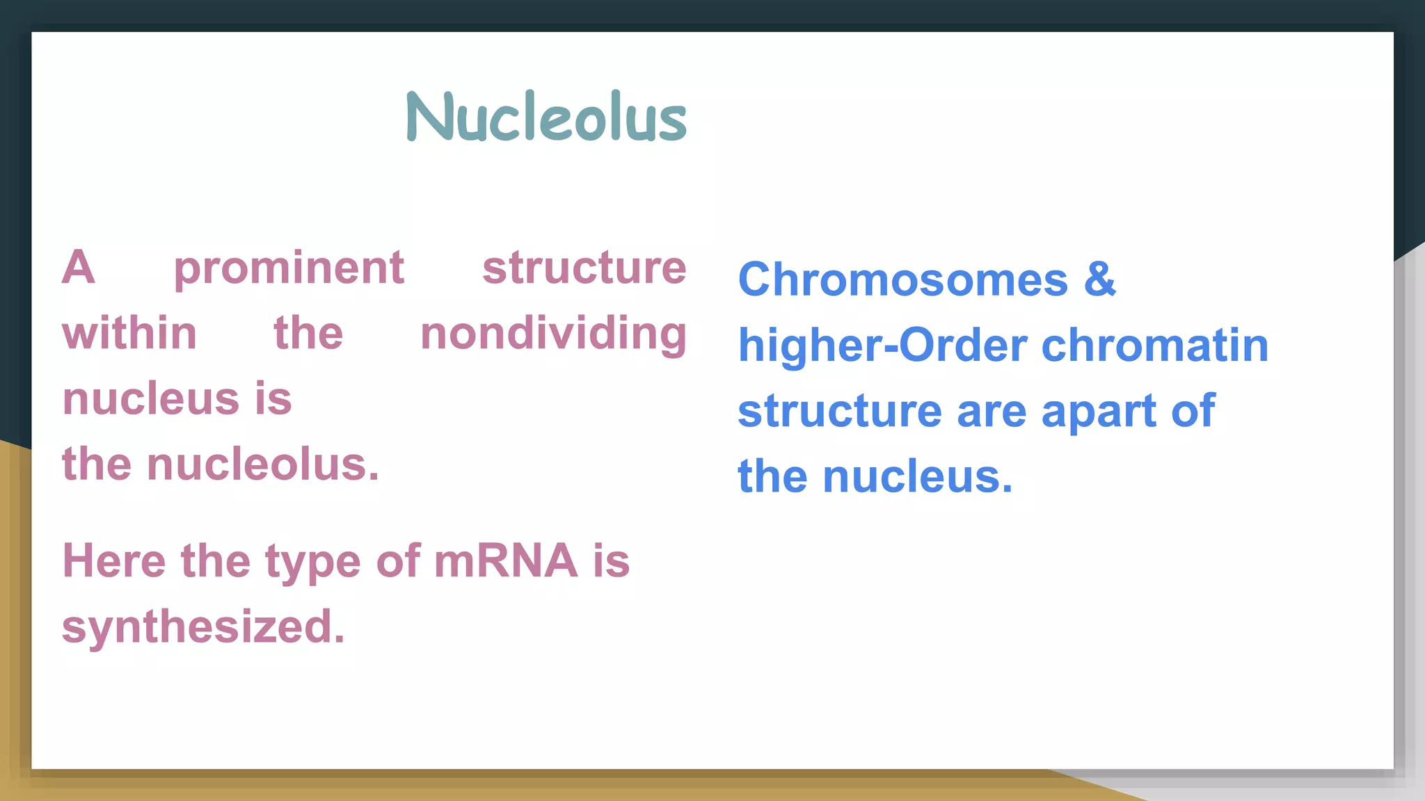 Cytology nucleus and ribosomes | PPTX