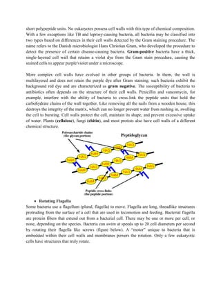 Cytology & physiology module | PDF