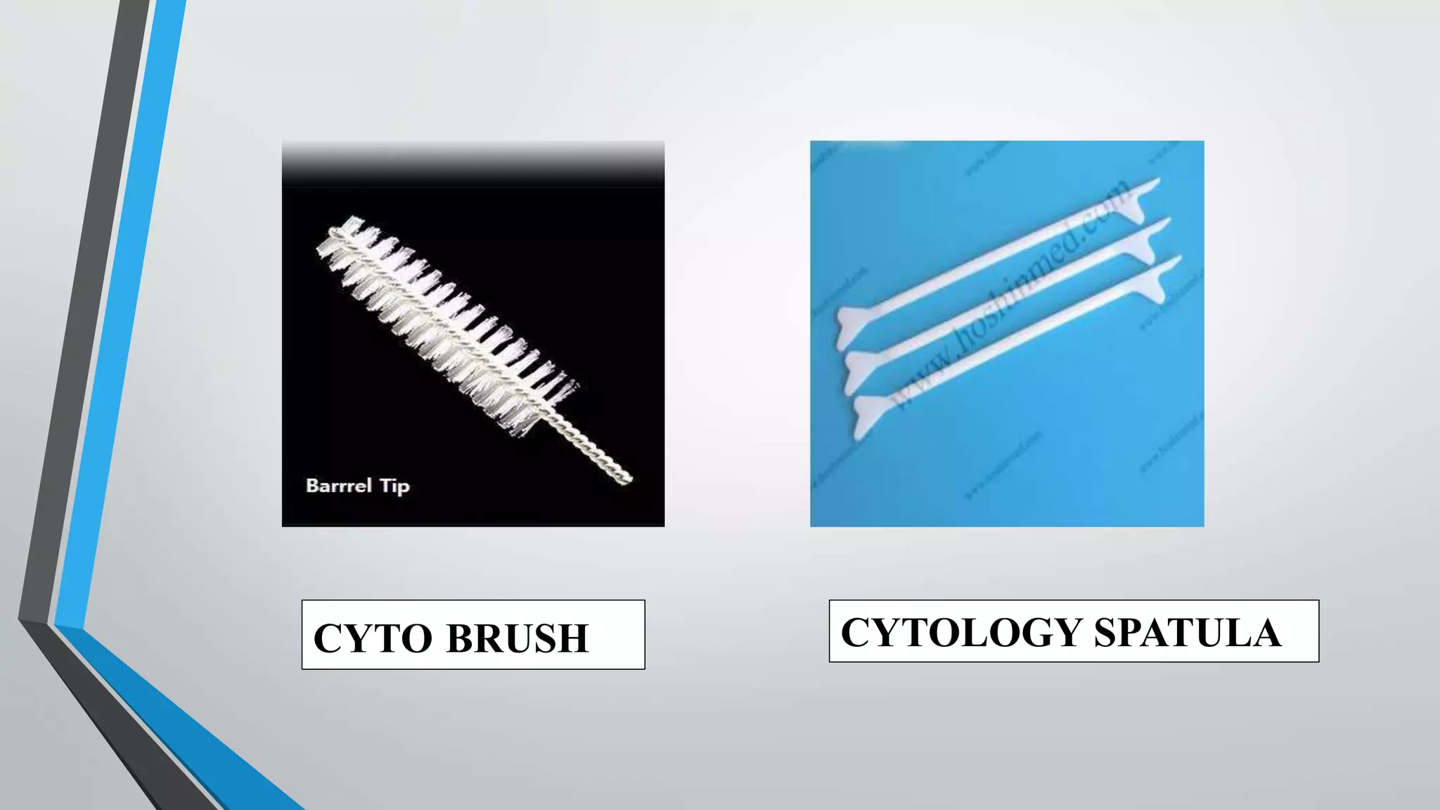 CYTOLOGY PPT.pptx