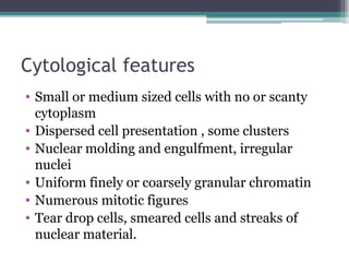 CYTOLOGY SLIDE DISCUSSION presentation for pathology | PPTX