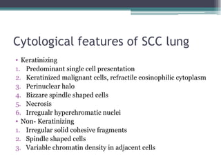 CYTOLOGY SLIDE DISCUSSION presentation for pathology | PPT