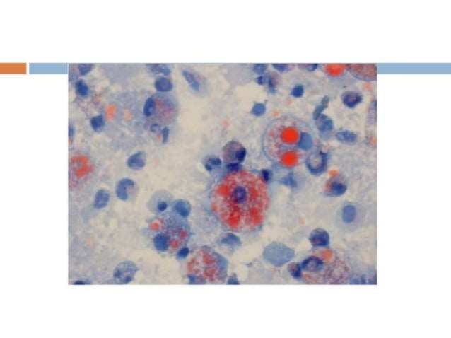 Cytology stain.pptx