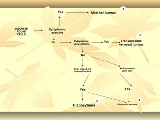 Cytology & tumor dignosis | PPT