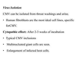 CYTOMEGALOVIRUS.pptx for educational purposes | PPTX