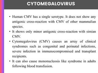 Microbiology of Cytomegalovirus (Herpes).pptx