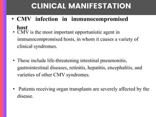 Microbiology of Cytomegalovirus (Herpes).pptx