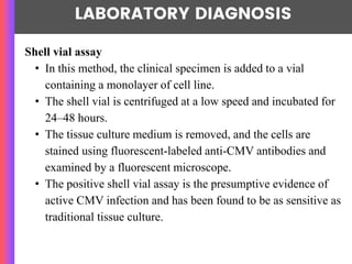 Microbiology of Cytomegalovirus (Herpes).pptx