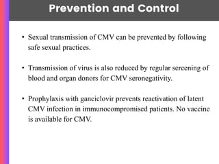 Microbiology of Cytomegalovirus (Herpes).pptx