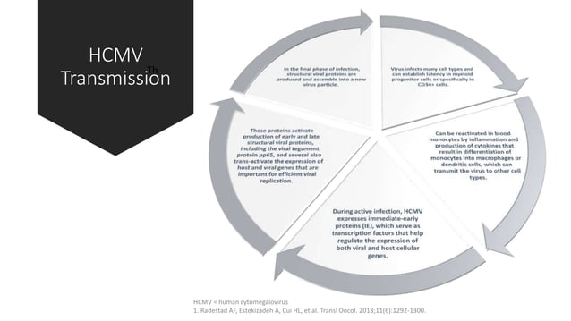 Cytomegalovirus infection in critically ill patients: Focus on HSCT ...