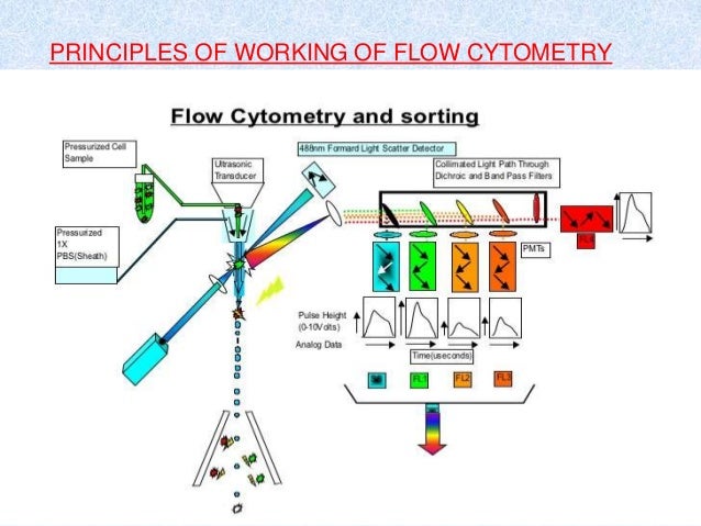The General Flow Cytometry Methods - Ponasa